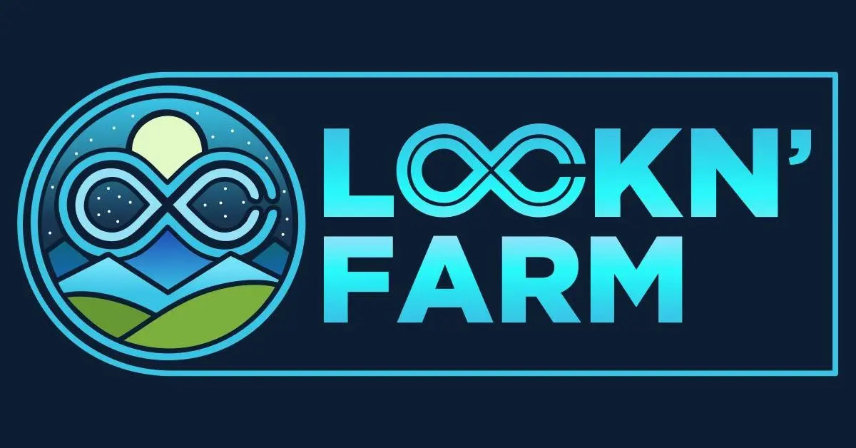 LOCKN' Festival Merchandise | Official Apparel, Posters & Collectibles ...