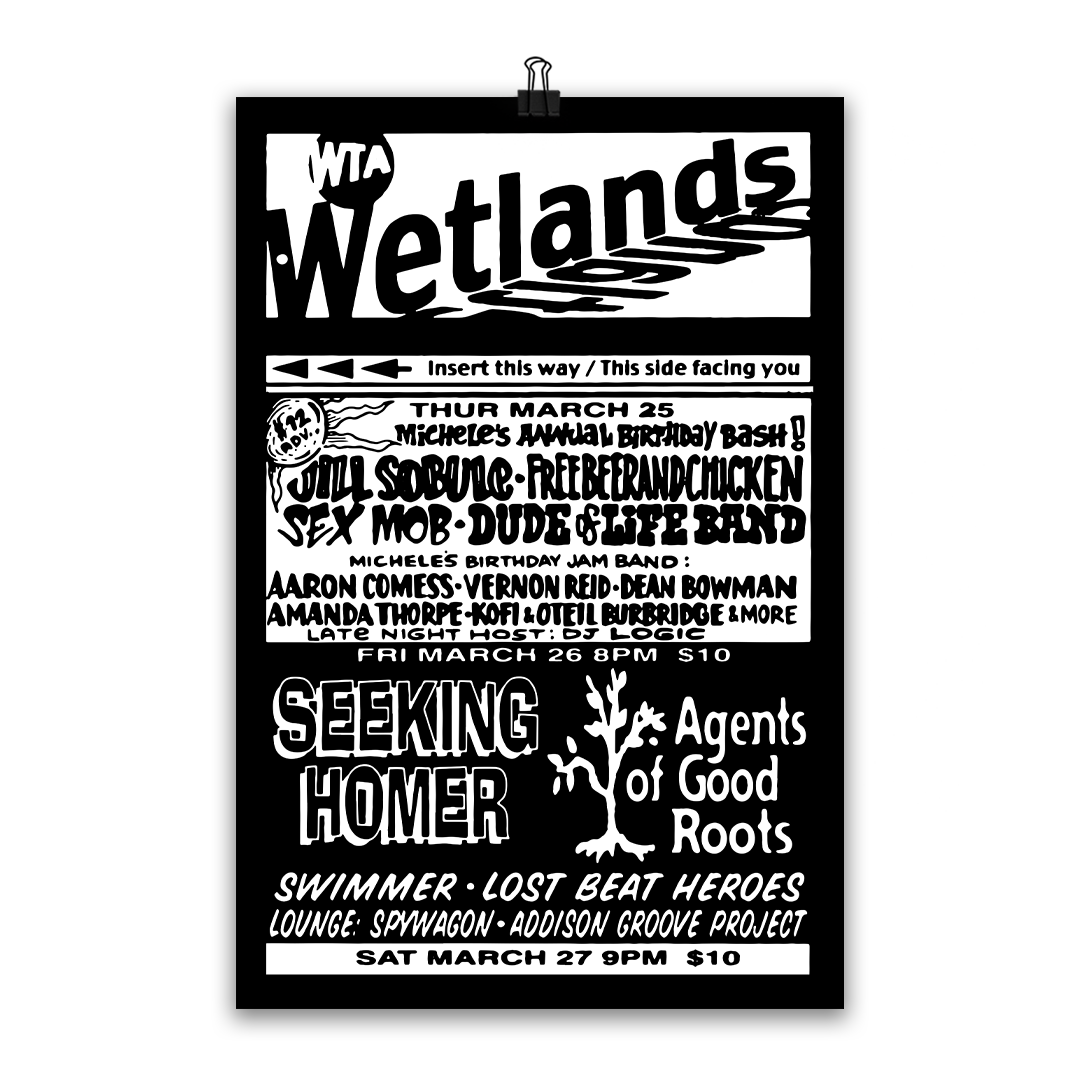 Wetlands Preserve Flyer Poster - March 1999 | relix.shop
